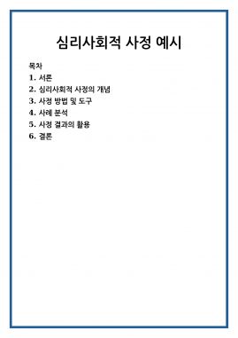 심리사회적 사정 예시-1페이지