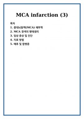 MCA infarction (3)-1페이지