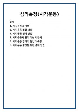 심리측정(시각운동)-1페이지