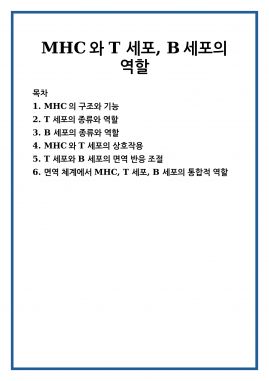MHC와 T 세포, B세포의 역할-1페이지