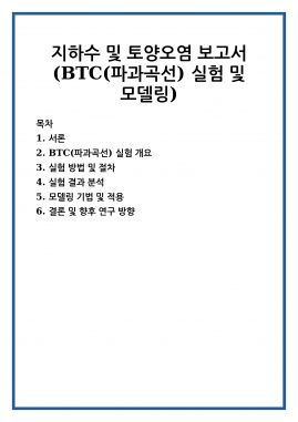 지하수 및 토양오염 보고서(BTC(파과곡선) 실험 및 모델링)-1페이지