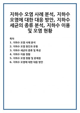 지하수 오염 사례 분석, 지하수 오염에 대한 대응 방안, 지하수 세균의 종류 분석, 지하수 이용 및 오염 현황-1페이지