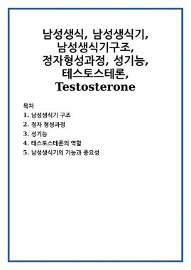 남성생식, 남성생식기, 남성생식기구조, 정자형성과정, 성기능, 테스토스테론, Testosterone-1페이지