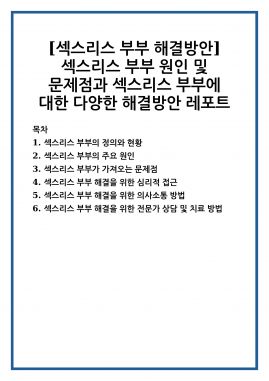 [섹스리스 부부 해결방안] 섹스리스 부부 원인 및 문제점과 섹스리스 부부에 대한 다양한 해결방안 레포트-1페이지