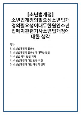 [소년법개정]소년법개정의필요성소년법개정의필요성이대두한원인소년법폐지관련기사소년법개정에대한 생각-1페이지