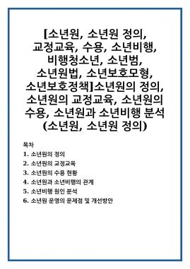 [소년원, 소년원 정의, 교정교육, 수용, 소년비행, 비행청소년, 소년범, 소년원법, 소년보호모형, 소년보호정책]소년원의 정의, 소년원의 교정교육, 소년원의 수용, 소년원과 소년비행 분석(소년원, 소년원 정의)-1페이지