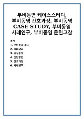 부비동염 케이스스터디, 부비동염 간호과정, 부비동염 CASE STUDY, 부비동염 사례연구, 부비동염 문헌고찰-1페이지