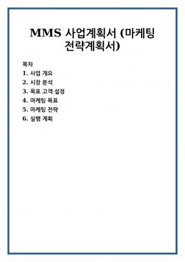 MMS 사업계획서 (마케팅 전략계획서)-1페이지