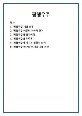 평행우주 레포트 자료-1페이지