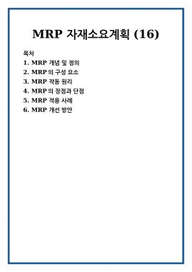 MRP 자재소요계획 (16)-1페이지