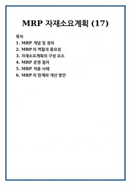 MRP 자재소요계획 (17)-1페이지