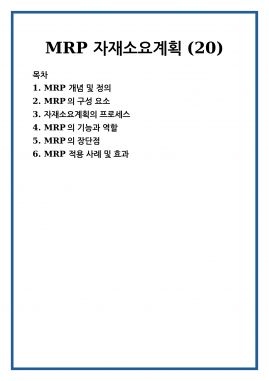 MRP 자재소요계획 (20)-1페이지