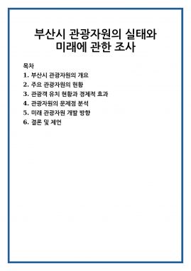 부산시 관광자원의 실태와 미래에 관한 조사-1페이지
