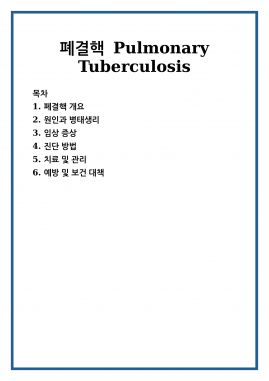 폐결핵  Pulmonary Tuberculosis-1페이지