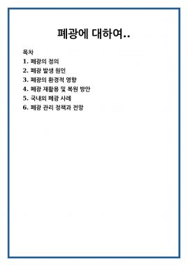 폐광에 대하여..-1페이지