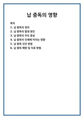 납 중독의 영향-1페이지