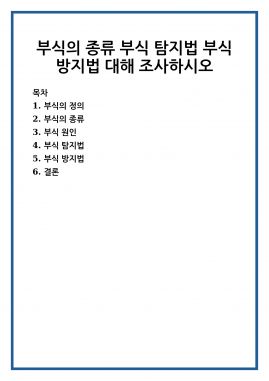 부식의 종류 부식 탐지법 부식 방지법 대해 조사하시오-1페이지