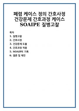 폐렴 케이스 정의 간호사정 건강문제 간호과정 케이스 SOAIPE 질병고찰-1페이지