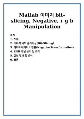 Matlab 이미지 bit-slicing, Negative, r g b Manipulation-1페이지