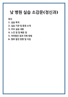 낮 병원 실습 소감문(정신과)-1페이지