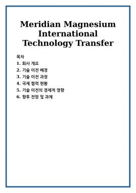 Meridian Magnesium  International Technology Transfer-1페이지