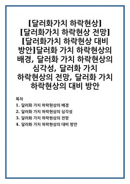 [달러화가치 하락현상][달러화가치 하락현상 전망][달러화가치 하락현상 대비 방안]달러화 가치 하락현상의 배경, 달러화 가치 하락현상의 심각성, 달러화 가치 하락현상의 전망, 달러화 가치 하락현상의 대비 방안-1페이지