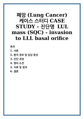 폐암 (Lung Cancer) 케이스 스터디 CASE STUDY - 진단명  LUL mass (SQC) - invasion to LLL basal orifice-1페이지