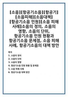 [소음][항공기소음][항공기][소음피해][소음대책][항공기소음 민원][소음 피해 사례]소음의 정의, 소음의 영향, 소음의 단위, 항공기소음 민원 현황과 항공기소음 문제점, 소음 피해 사례, 항공기소음의 대책 방안-1페이지