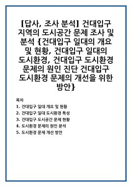 [답사, 조사 분석] 건대입구 지역의 도시공간 문제 조사 및 분석 {건대입구 일대의 개요 및 현황, 건대입구 일대의 도시환경, 건대입구 도시환경 문제의 원인 진단 건대입구 도시환경 문제의 개선을 위한 방안}-1페이지