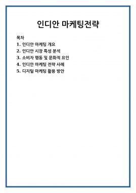 인디안 마케팅전략-1페이지