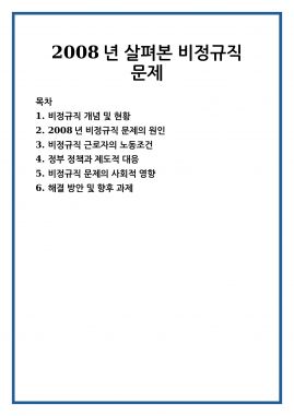 2008년 살펴본 비정규직 문제-1페이지