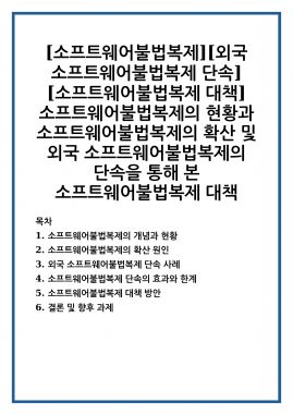 [소프트웨어불법복제][외국 소프트웨어불법복제 단속][소프트웨어불법복제 대책]소프트웨어불법복제의 현황과 소프트웨어불법복제의 확산 및 외국 소프트웨어불법복제의 단속을 통해 본 소프트웨어불법복제 대책-1페이지