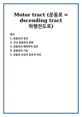 Motor tract (운동로 = dscending tract 하행전도로)-1페이지