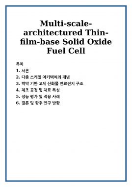 Multi-scale-architectured Thin-film-base Solid Oxide Fuel Cell-1페이지