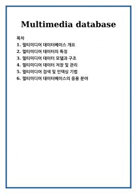 Multimedia database-1페이지