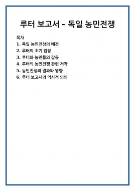 루터 보고서 - 독일 농민전쟁-1페이지