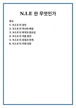 N.I.E 란 무엇인가-1페이지