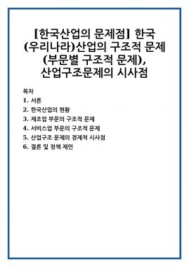[한국산업의 문제점] 한국(우리나라)산업의 구조적 문제(부문별 구조적 문제), 산업구조문제의 시사점-1페이지