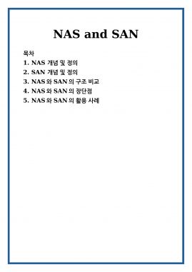 NAS and SAN 레포트 자료-1페이지