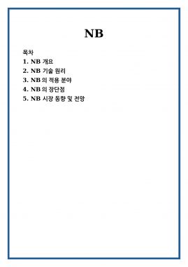 NB 레포트 자료-1페이지