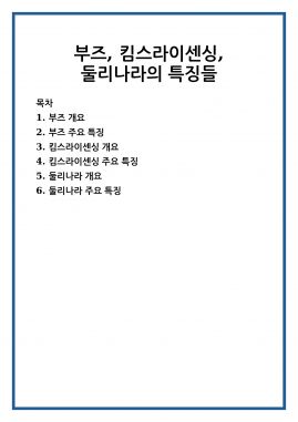 부즈, 킴스라이센싱, 둘리나라의 특징들-1페이지