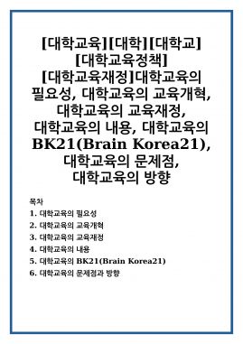[대학교육][대학][대학교][대학교육정책][대학교육재정]대학교육의 필요성, 대학교육의 교육개혁, 대학교육의 교육재정, 대학교육의 내용, 대학교육의 BK21(Brain Korea21), 대학교육의 문제점, 대학교육의 방향-1페이지