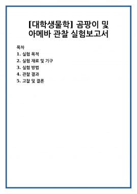 [대학생물학] 곰팡이 및 아메바 관찰 실험보고서-1페이지