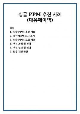 싱글 PPM 추진 사례 (대유에이텍)-1페이지