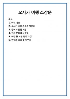 오사카 여행 소감문-1페이지