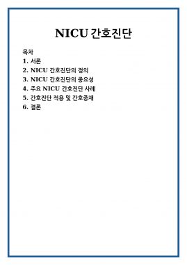 NICU간호진단 레포트 자료-1페이지