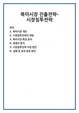 북미시장 진출전략-시장침투전략-1페이지