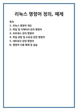리눅스 명령어 정의, 예제-1페이지