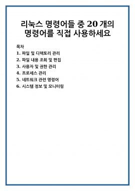 리눅스 명령어들 중 20개의 명령어를 직접 사용하세요-1페이지