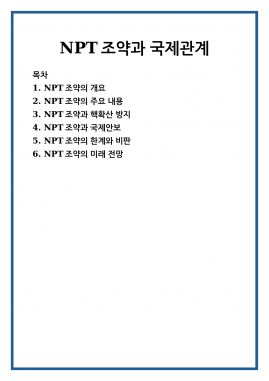NPT조약과 국제관계-1페이지